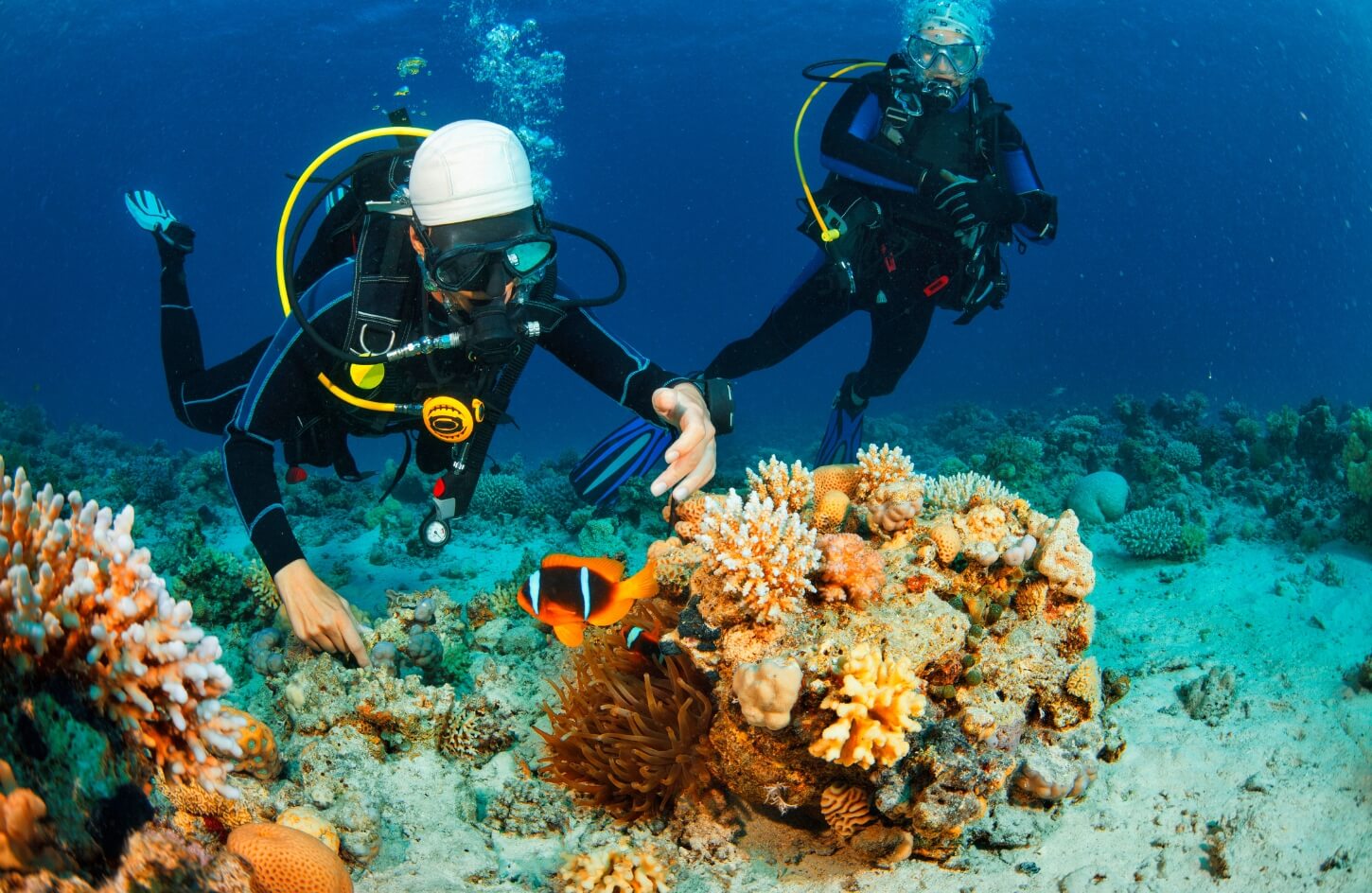 Mahmya Island Snorkeling Trip | Khufu Egypt Tours