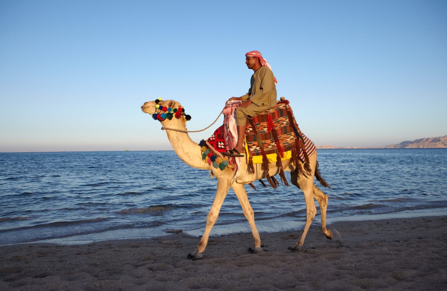 Sharm El Sheikh Quad Biking with Camel Ride